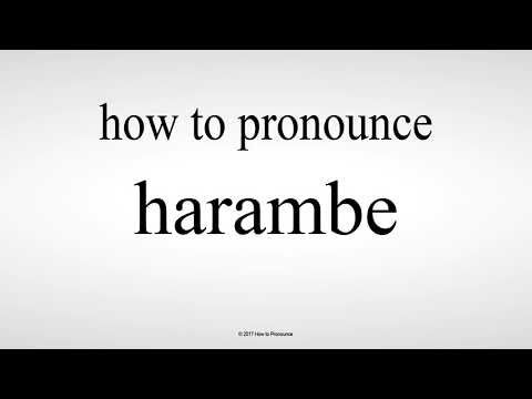 How to Pronounce harambe