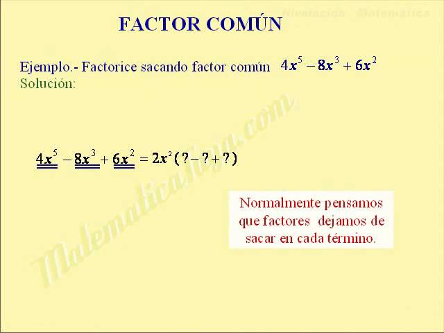 Factorizacion Ejemplos TOMi.digital FACTORIZACIÓN
