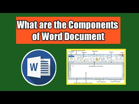 What are the components of Word Document