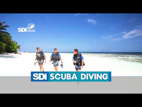 Why Scuba Diving International (SDI) Is The Scuba Certification Agency For You!