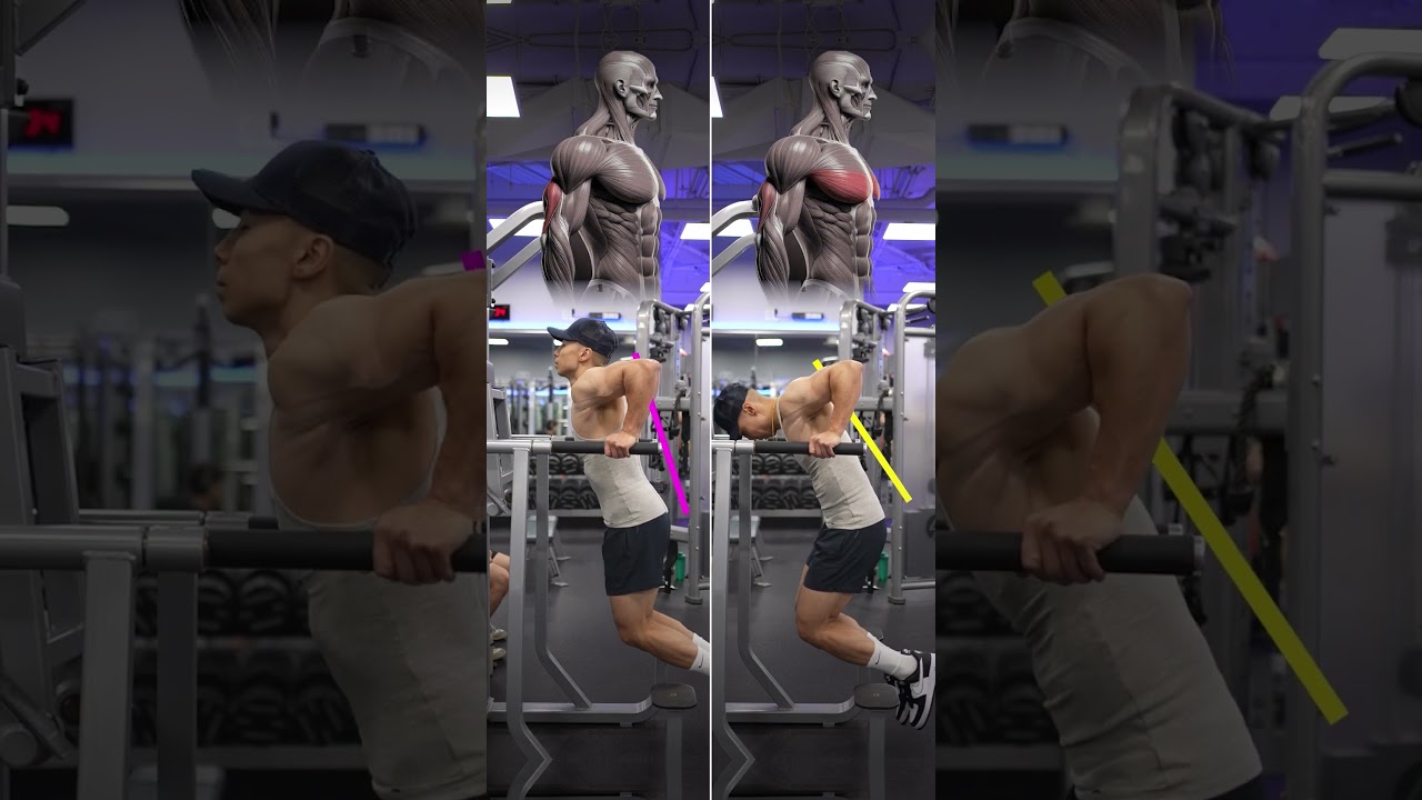 Dips - KNOW THE DIFFERENCE!