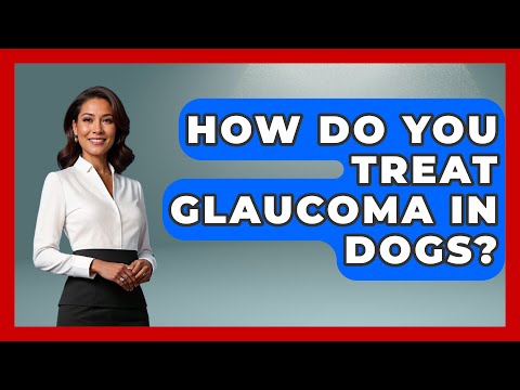 How Do You Treat Glaucoma In Dogs? - Optometry Knowledge Base