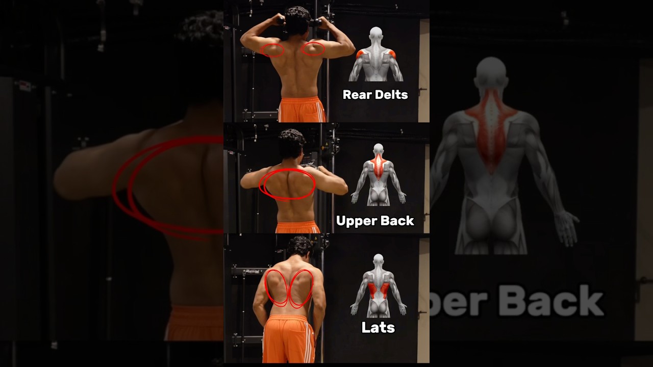3 Cable Exercises for a Bigger Back #backworkout