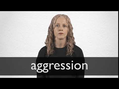 AGGRESSION definition and meaning | Collins English Dictionary