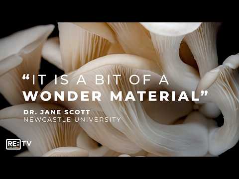 Building A Waste-Free Future With Mycelium
