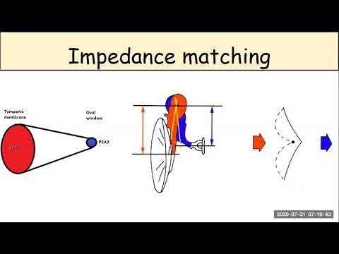 IMPEDANCE MATCHING