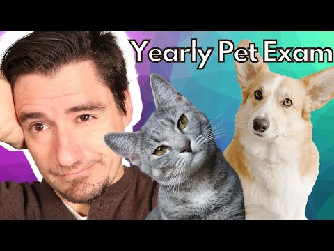 Does your pet need an annual or yearly VET exam? Dr. Dan explains why.