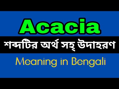 Acacia Meaning In Bengali /Acacia mane ki