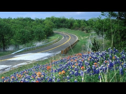 Here's where to go to find Central Texas' best bluebonnets