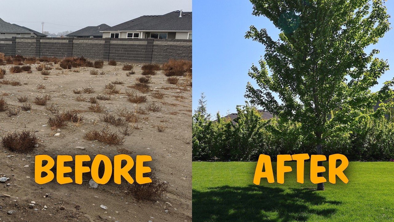 From Zero To Hero:  I Created The Yard & Garden Of My Dreams