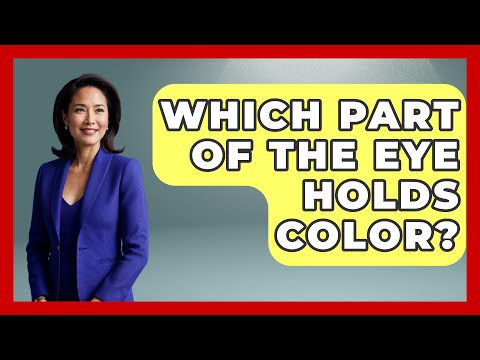 Which Part Of The Eye Holds Color? - Optometry Knowledge Base