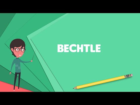 What is Bechtle? Explain Bechtle, Define Bechtle, Meaning of Bechtle