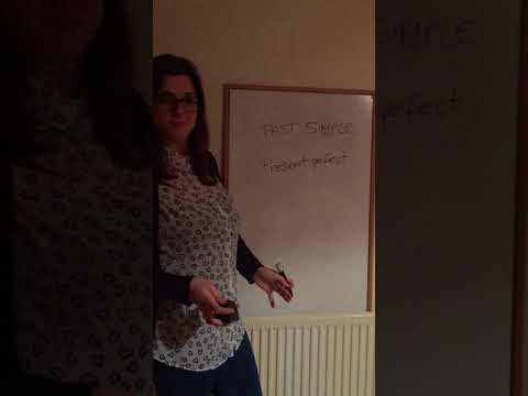Lesson plan on PAST SIMPLE (Capstone Project 1) TESOL
