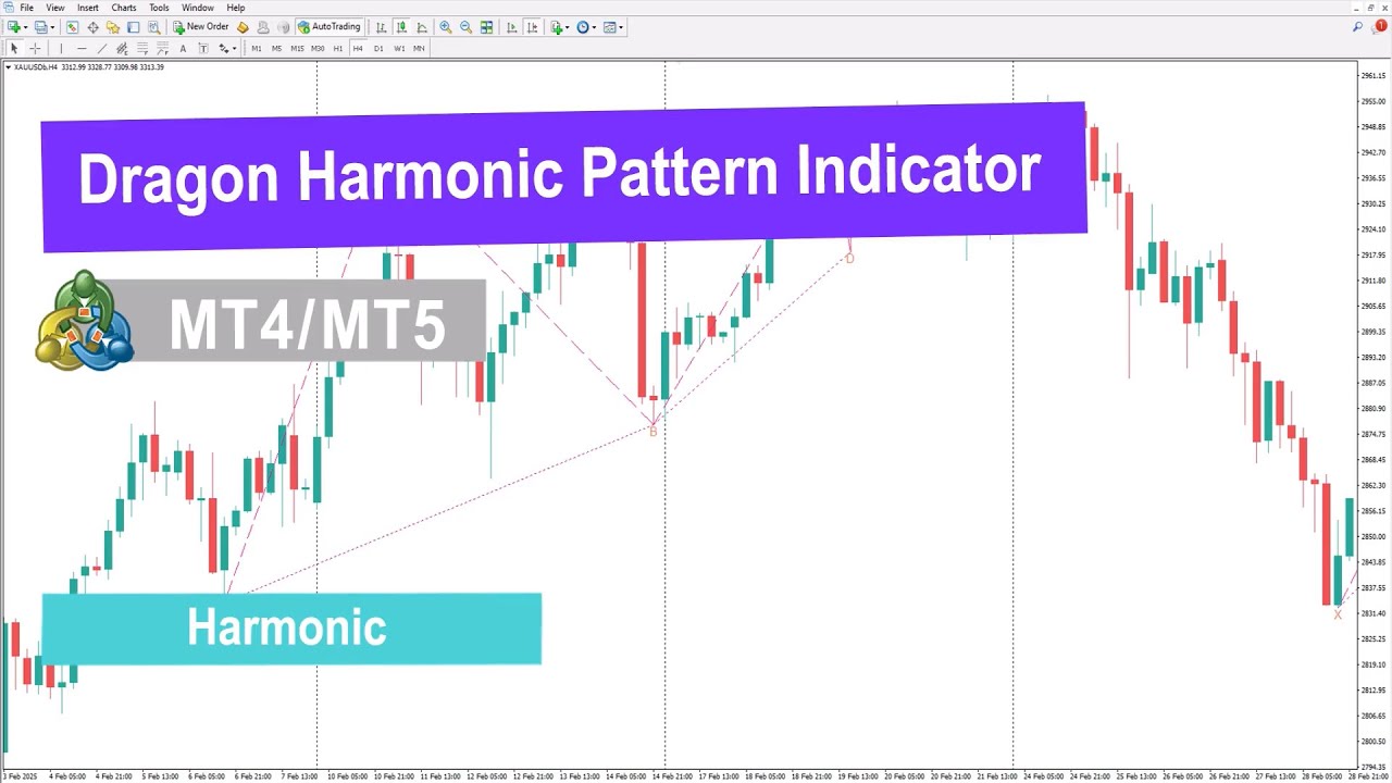 Understanding the Dragon Harmonic Pattern Indicator for MT4/5 | Galaxy.ai
