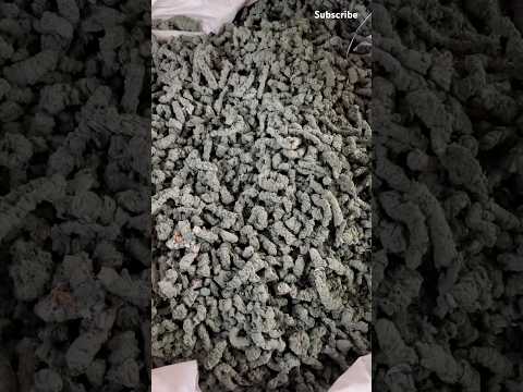How to recycle plastic label and flakes mixture #machine #recycling #technology