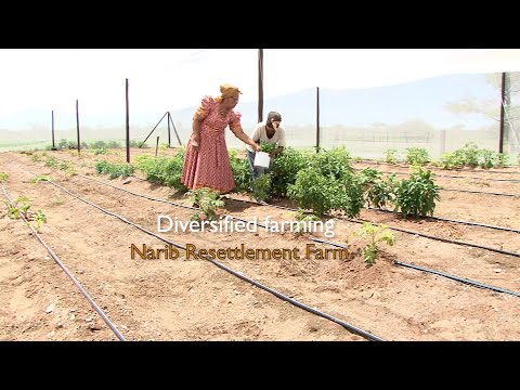 Insight Agriculture Part 4 Diversified farming 1080p