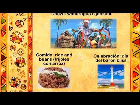 TOMi.digital - Diferencia entre raza y etnia.