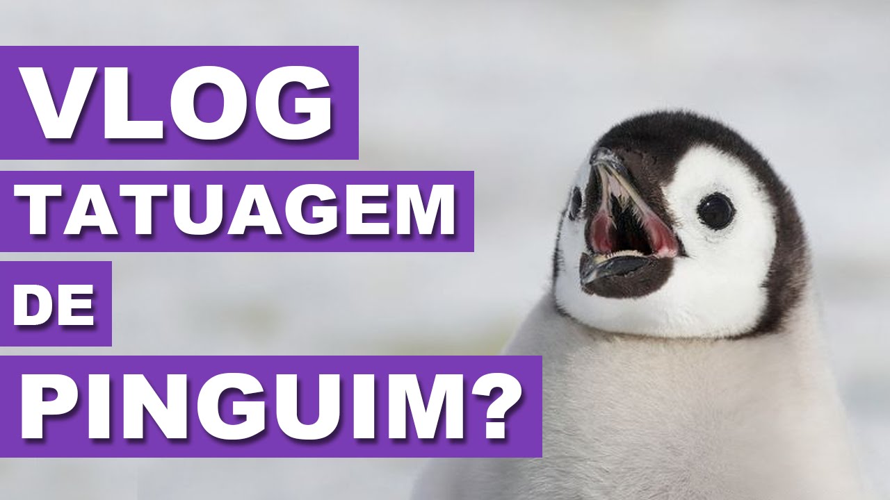 VLOG - Tatuagem de Pinguim? - Quatro Patas