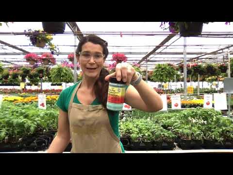 Veggie Garden Question & Answer