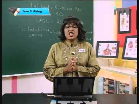 iTTV SPM Form 5 Biology Chapter 1 The Composition of Human Blood -Exam/Tips