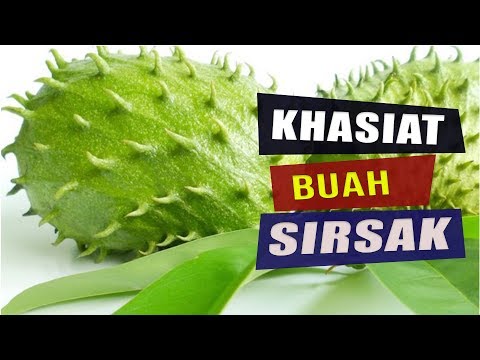 8 Khasiat Buah Sirsak Untuk Kesehatan