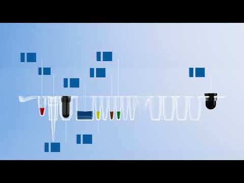POCLIA Video