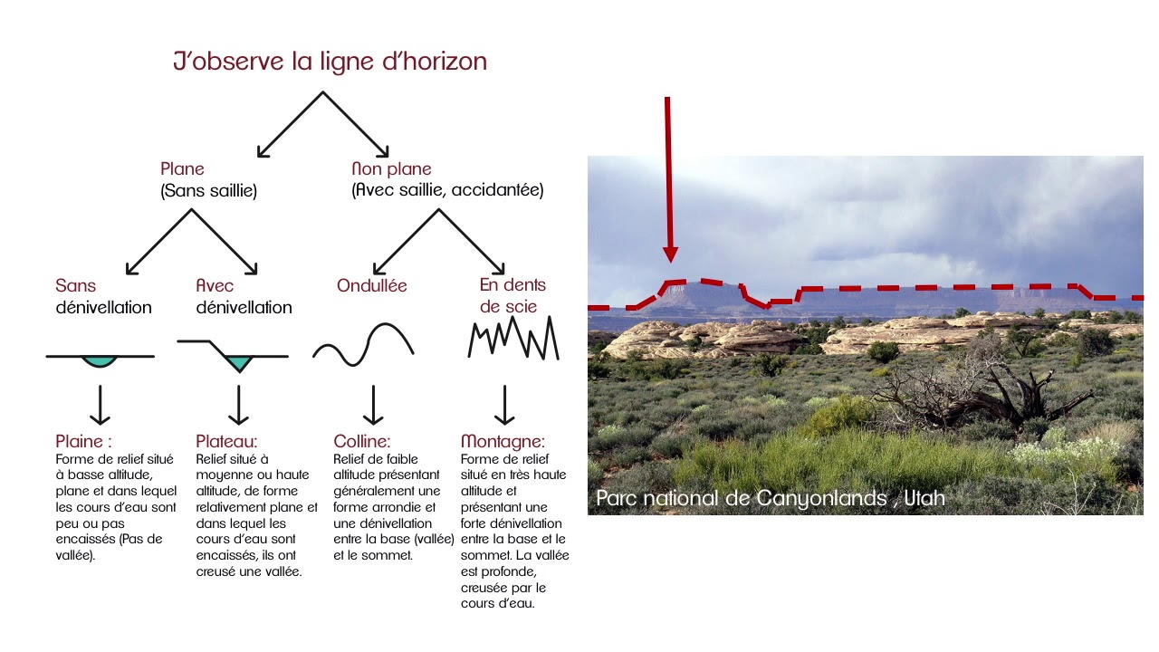 Vidéo explicative sur les ≠ types de relief