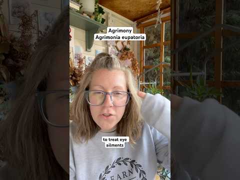 This is how to remember the botanical name for the herb agrimony!#botanicalname #rhs #agrimony