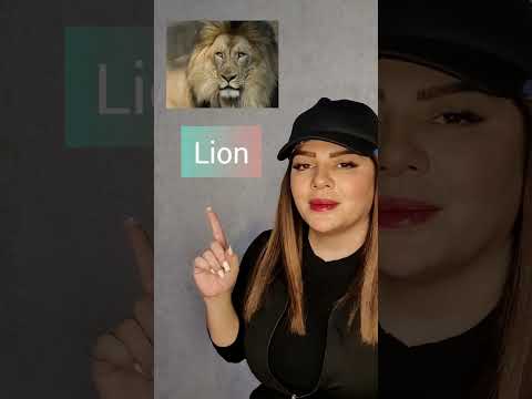 "Roar your way to fluency with these wild vocabulary words" 🦁🐯🐆🐆 #LanguageLearning