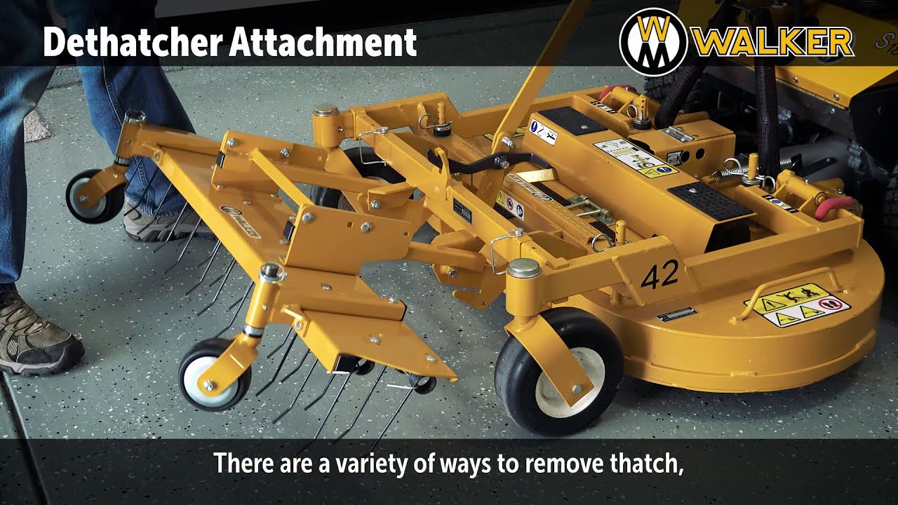 Get Green Healthy Grass in Spring with Dethatching
