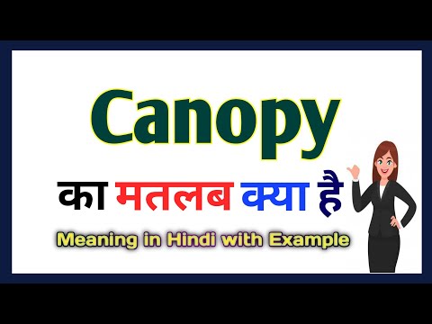 Canopy meaning in Hindi || Canopy का मतलब हिंदी में क्या होता है || Word meaning in Hindi