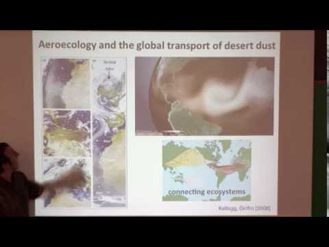 Geophysical Fluid Dynamics- Geometry & Ecology
