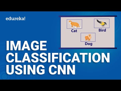 Learn Image Classification using CNN | Deep Learning Tutorial | Machine Learning Project 9 ...