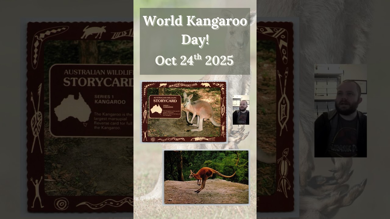 World Kangaroo Day! - October 24th 2025 #postcards