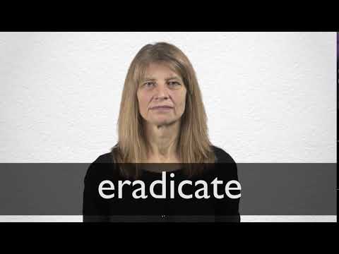 How to pronounce ERADICATE in British English