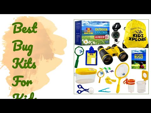 🌵7 Best Bug Kits For Kids 2020