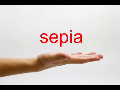 How to Pronounce sepia - American English