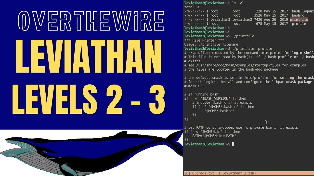 OverTheWire: Leviathan Walkthrough: Levels 2 - 3 (gdb and chaining commands)