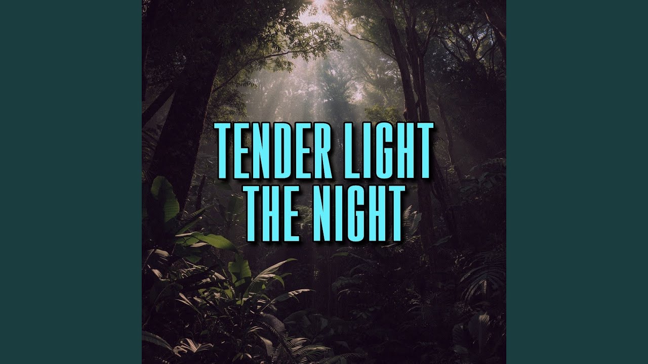 tender light the night
