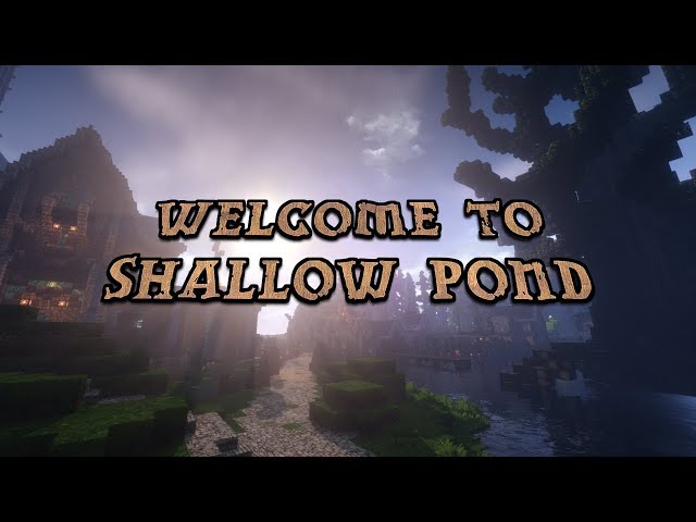 Shallow Pond (Medieval Village) Minecraft Map
