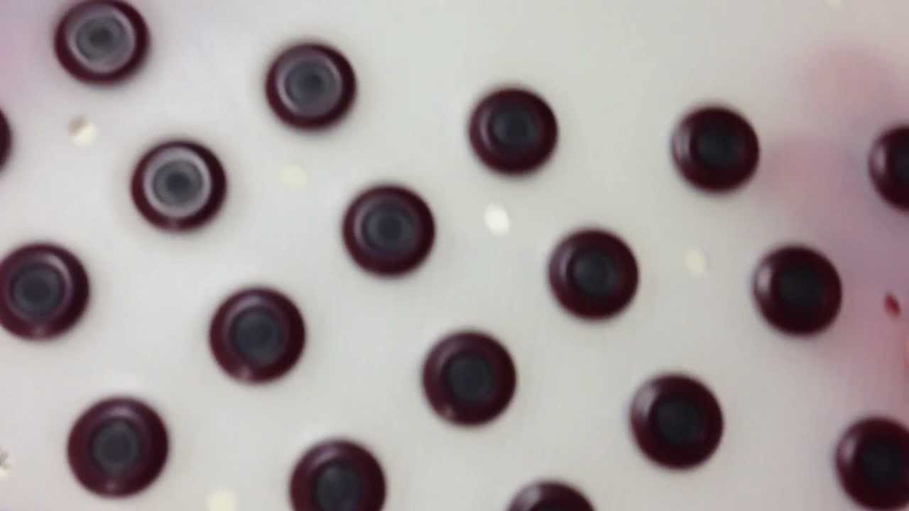 Explaining Nikken's New Magnetic Products