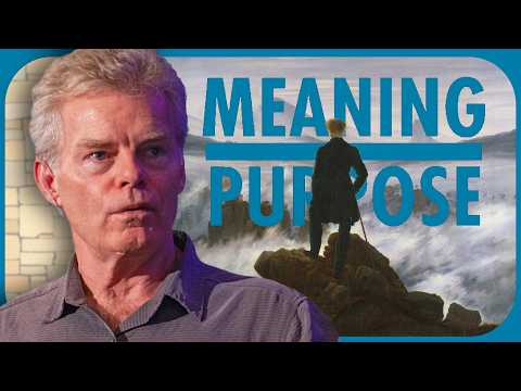Understanding Meaning and Purpose
