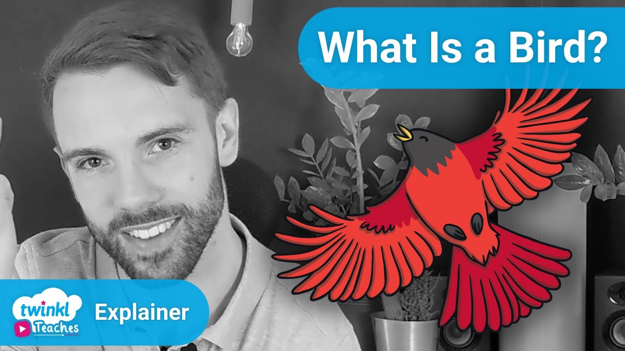 KS2 Animal Classification - Twinkl Parenting Wiki