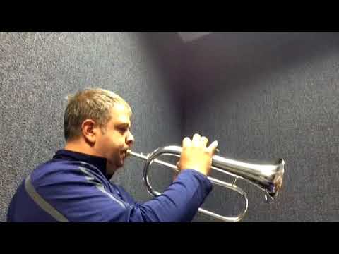 Callet Jazz Flugelhorn Gen II Somewhere