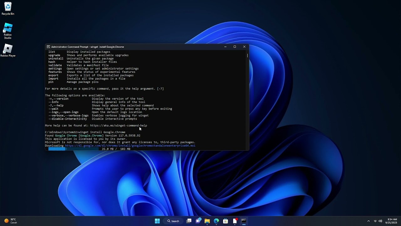 How To Download Google Chrome With Command Prompt
