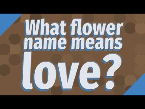 What flower name means love?