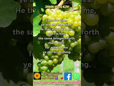 Bible Motivation John 15:5 KJV #jesus #christianfaith #motivation #shorts #bibleverses