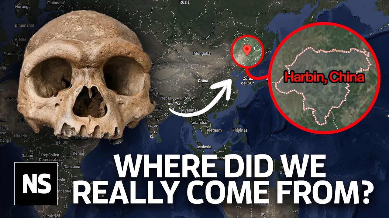 New Denisovan Skull Rewrites Our Family Tree