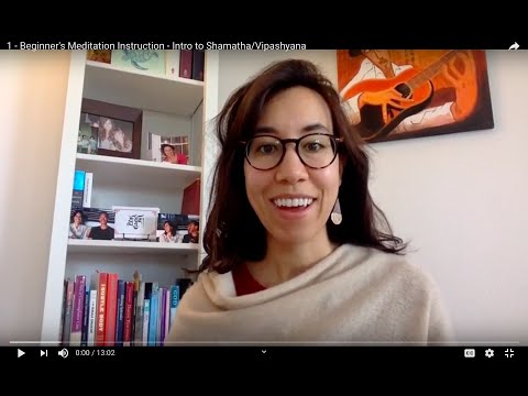Beginner's Meditation Instruction - Intro to Shamatha/Vipashyana