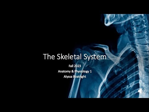 Skeletal System PPT